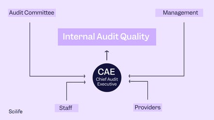 Internal Audit Compliance: Steps and Best Practices | Scilife