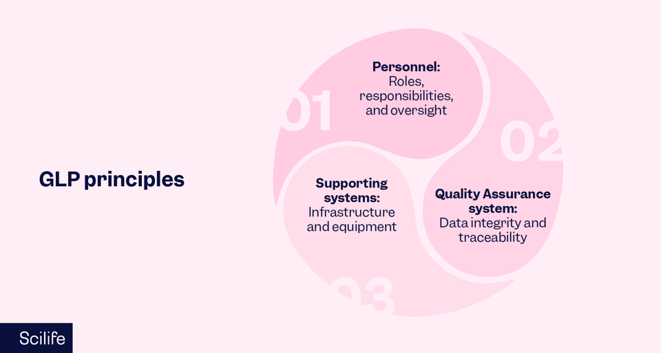Pharma GLP: The Essential Guide Your Auditor Wishes You’d Read