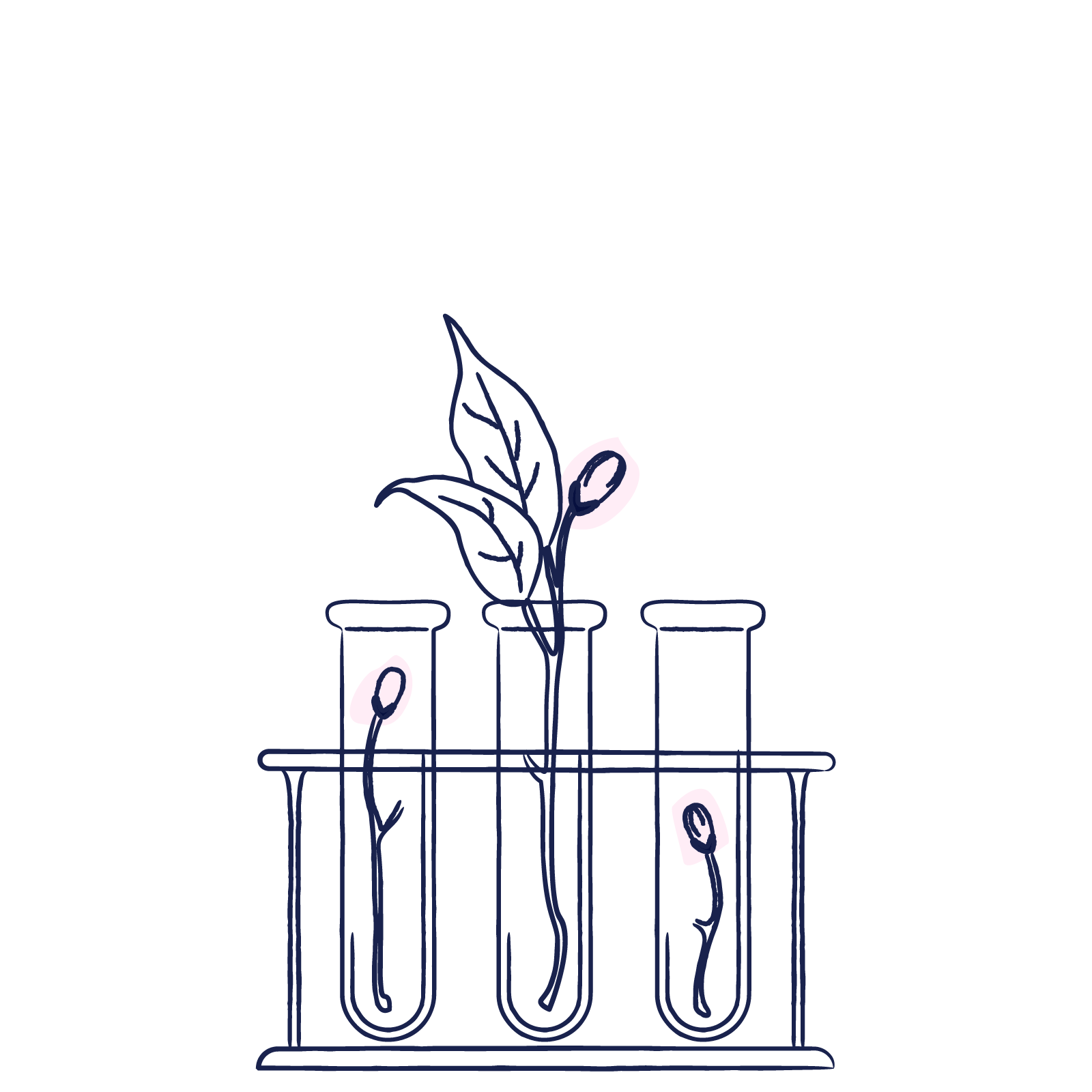 Quality Management Maturity Scan
