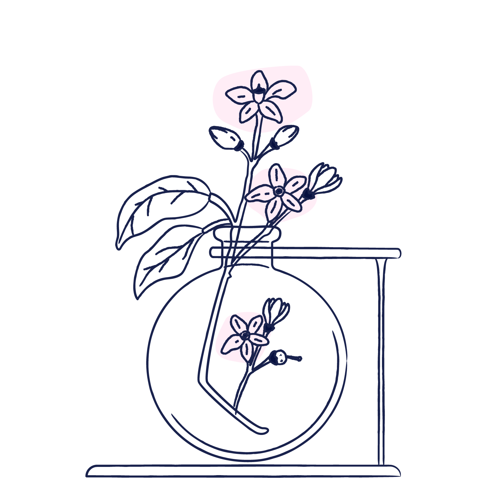 Quality Management Maturity Scan