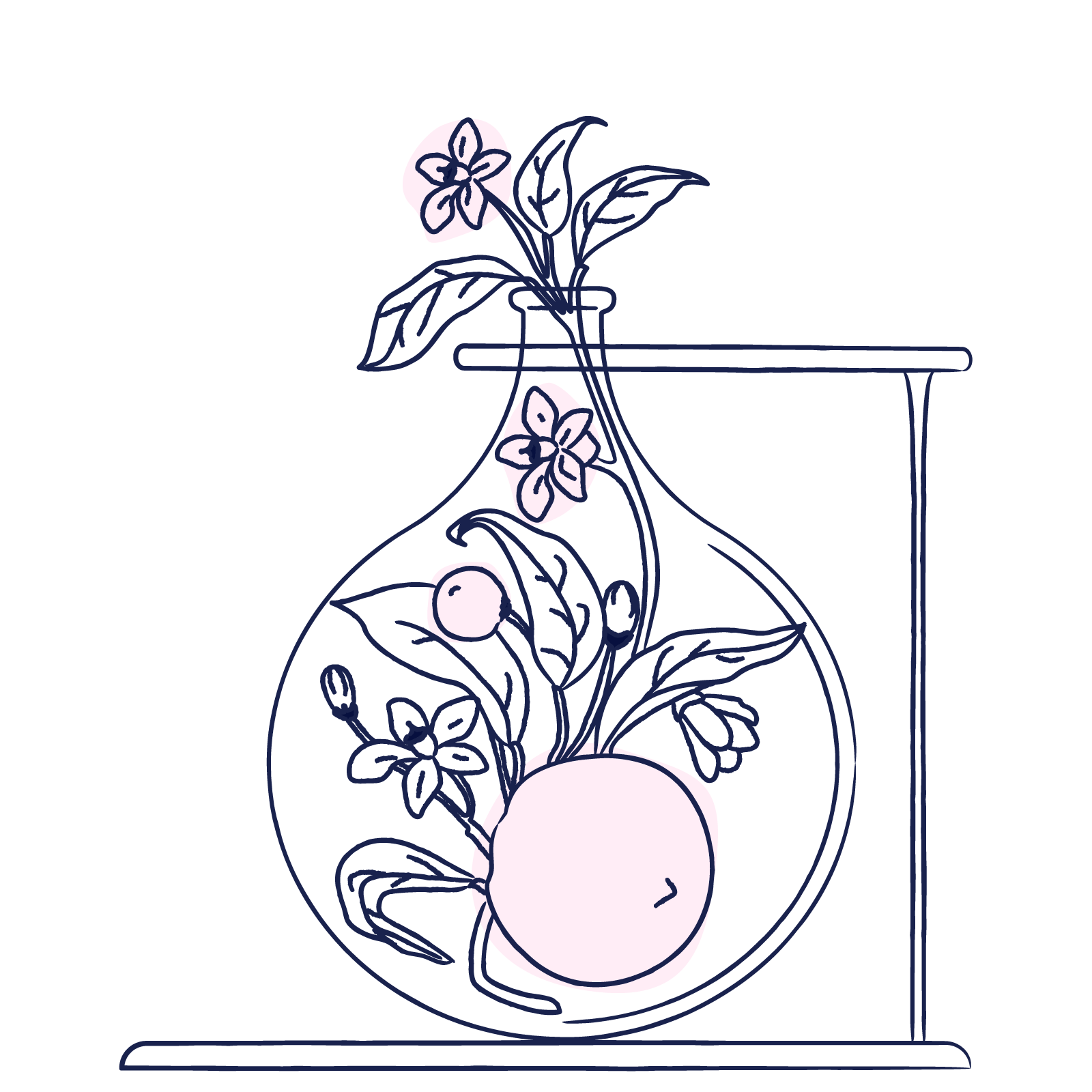 Quality Management Maturity Scan