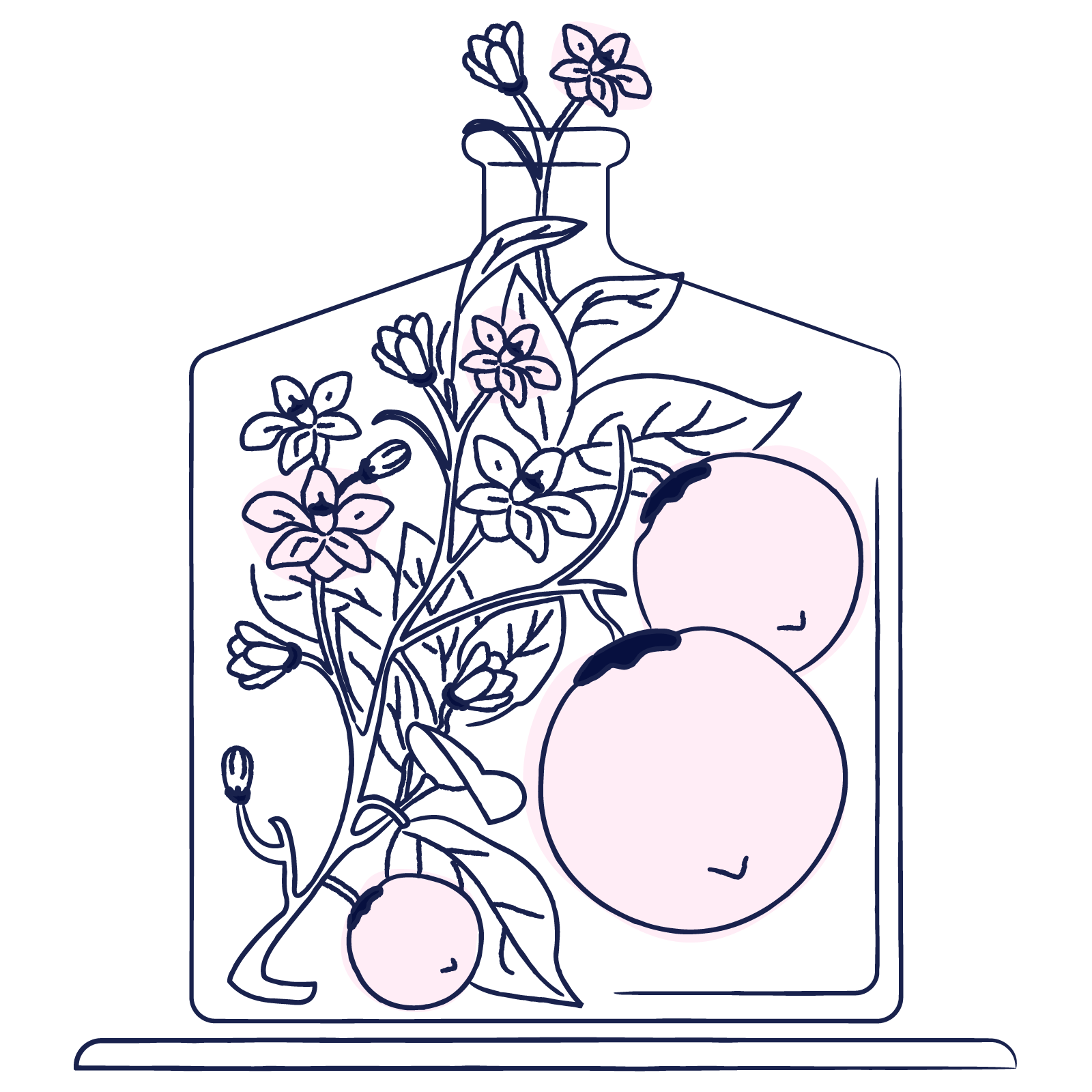 Quality Management Maturity Scan