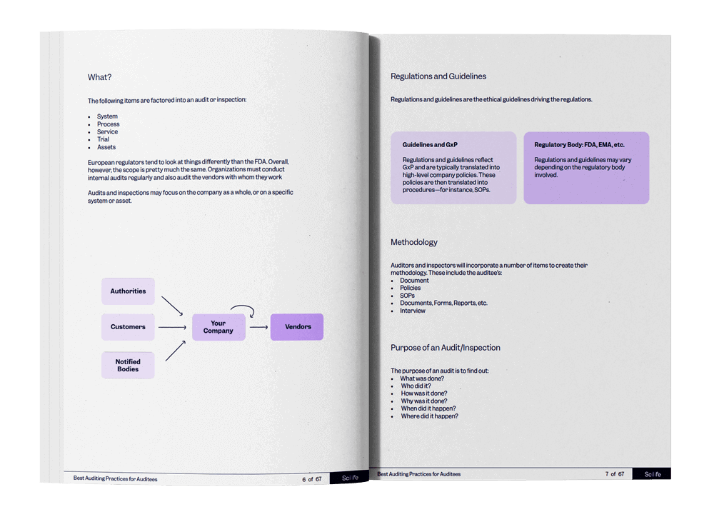 Best Auditing Practices for Auditees in the Life Sciences - Handbook