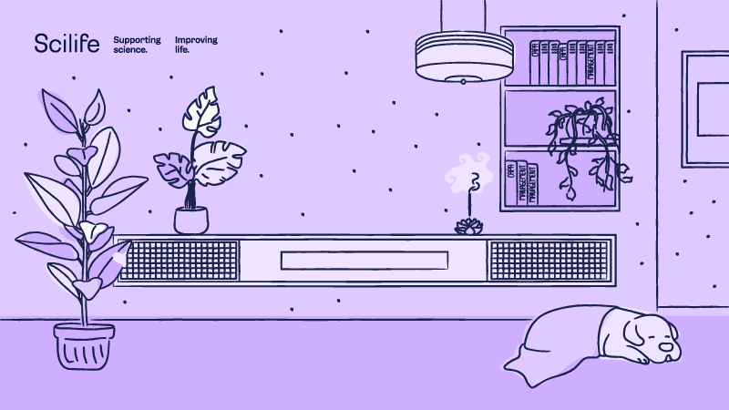 Custom video call backgrounds | Scilife