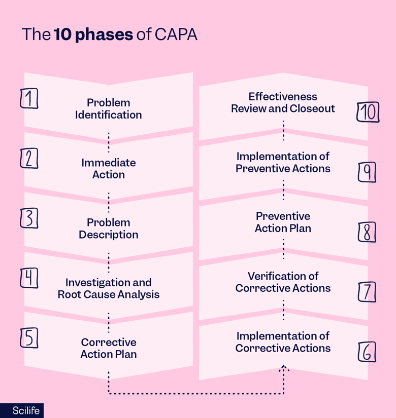 Navigating the Phases of Corrective and Preventive Actions | Scilife